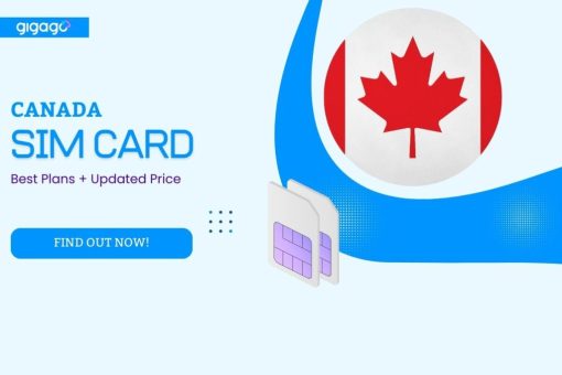 Best Canada SIM Cards for Tourists: Updated Prices & Where to Buy 2025