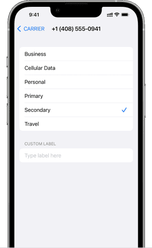 How many eSIMs can an iPhone have? Understanding eSIM limitations