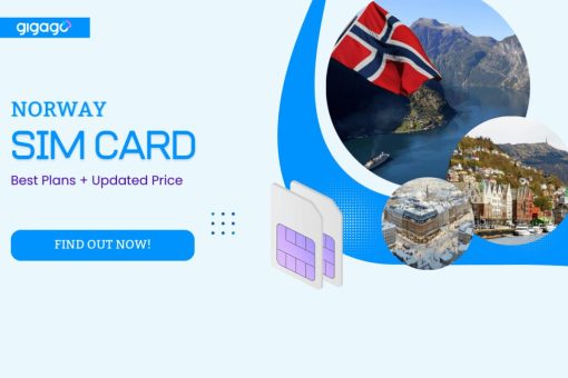 Ice SIM Cards and eSIM 2025: a Comprehensive Guide for Tourists