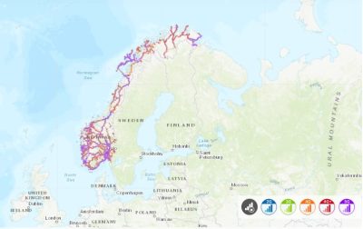 Telenor SIM Cards & eSIM for Tourists: How to Get and Activate 2025