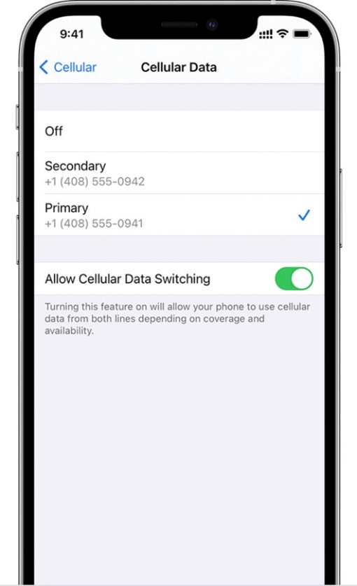Should "Allow Cellular Data Switching" be on or off?