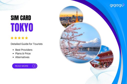 NTT Docomo SIM Cards and eSIM: a Comprehensive Guide for Tourists