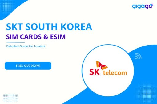 Buying LG U+ South Korea SIM cards & eSIMs: Detailed Guide