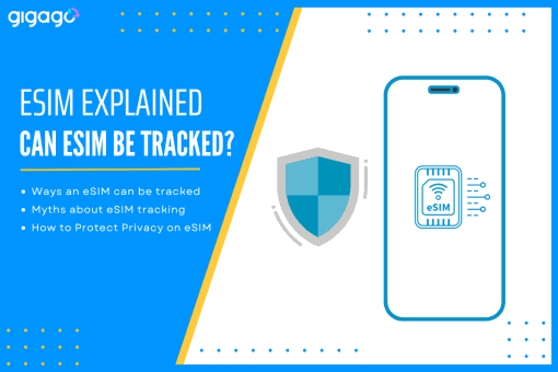 How to find your hidden eSIM number