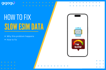 How to Reset iPhone without Losing eSIMs [Detailed Guide]