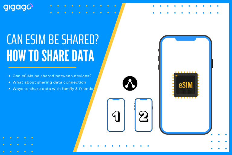 eSIM on iPad: Everything You Need to Know