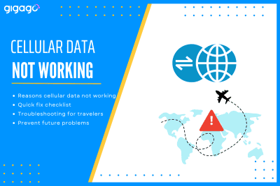 [Tested] How to Check If Your Phone will Work Abroad When Traveling: 4 Ways